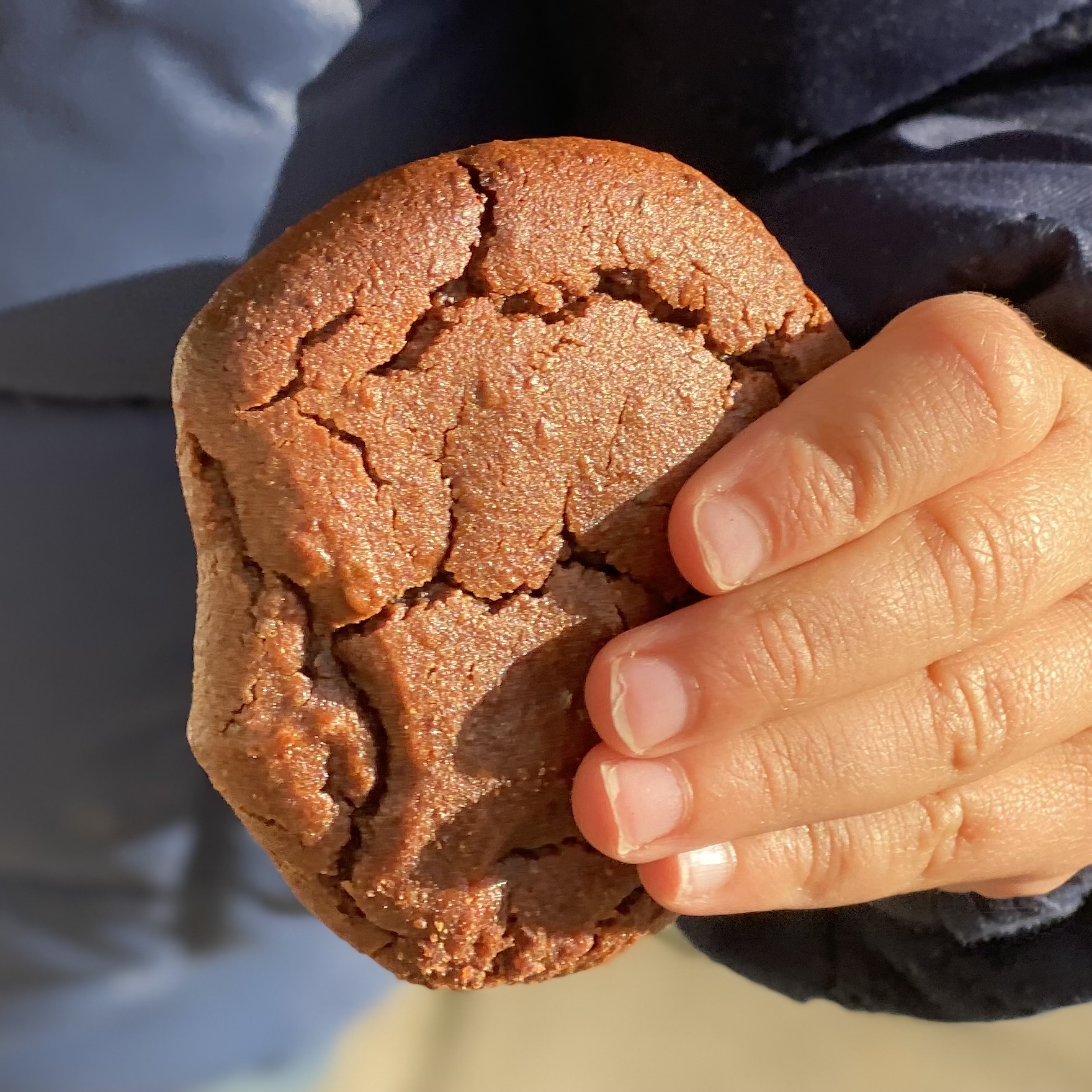 Chocolate Kidney Bean Cookies | foryourfoodies.com